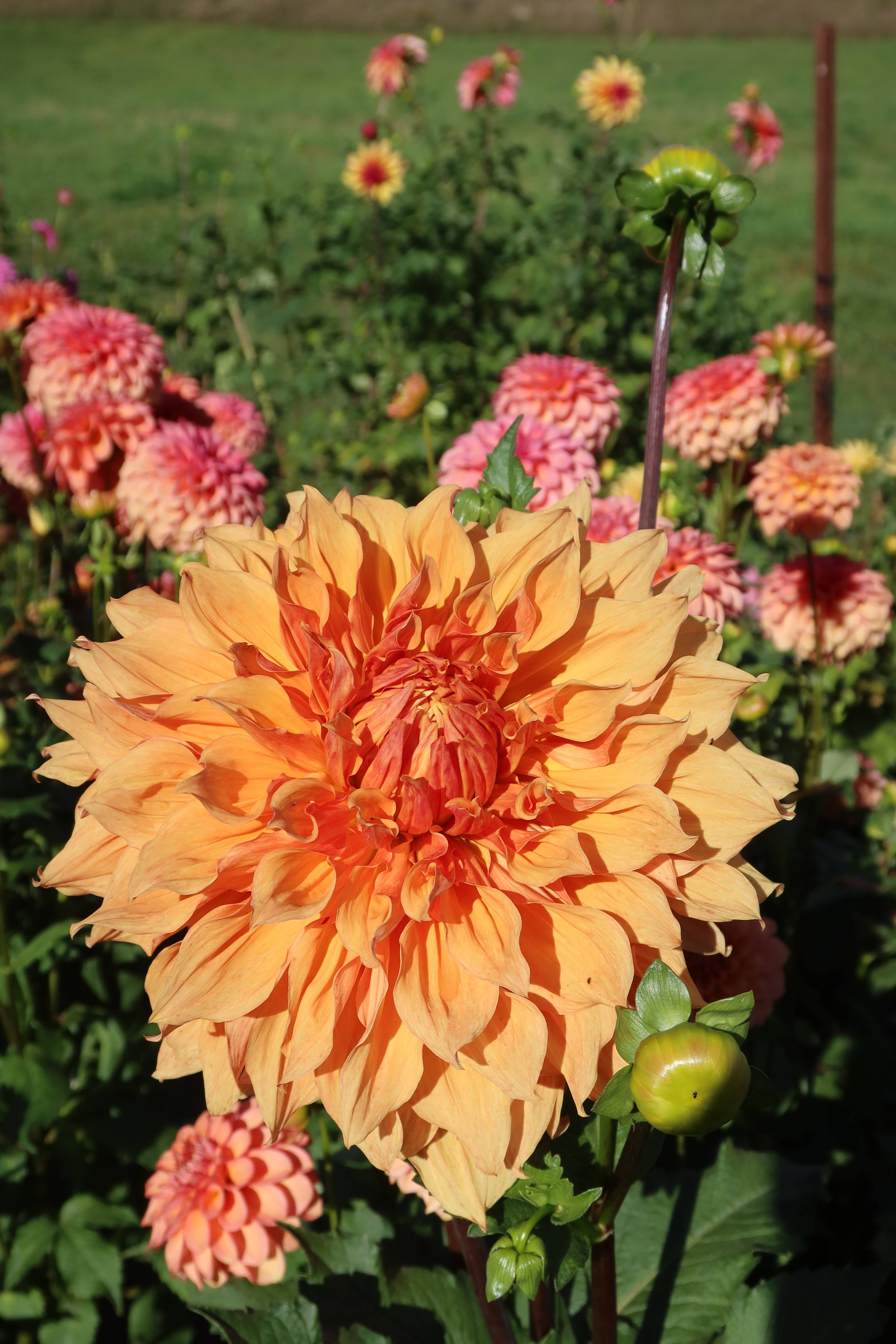 Ben Huston – Valhaven Farm