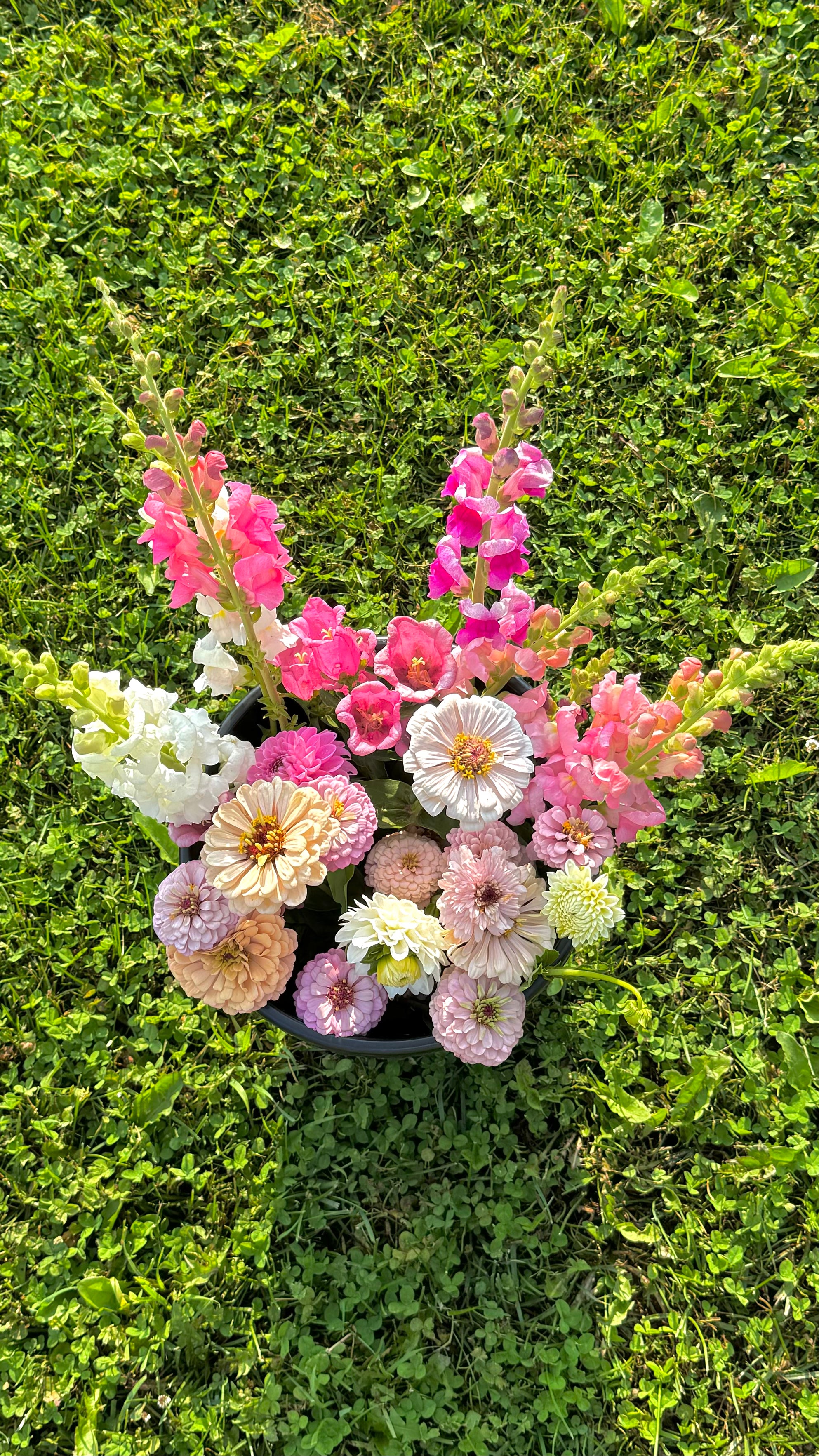 Mixed Blooms Bucket (25 Stems) – Valhaven Farm