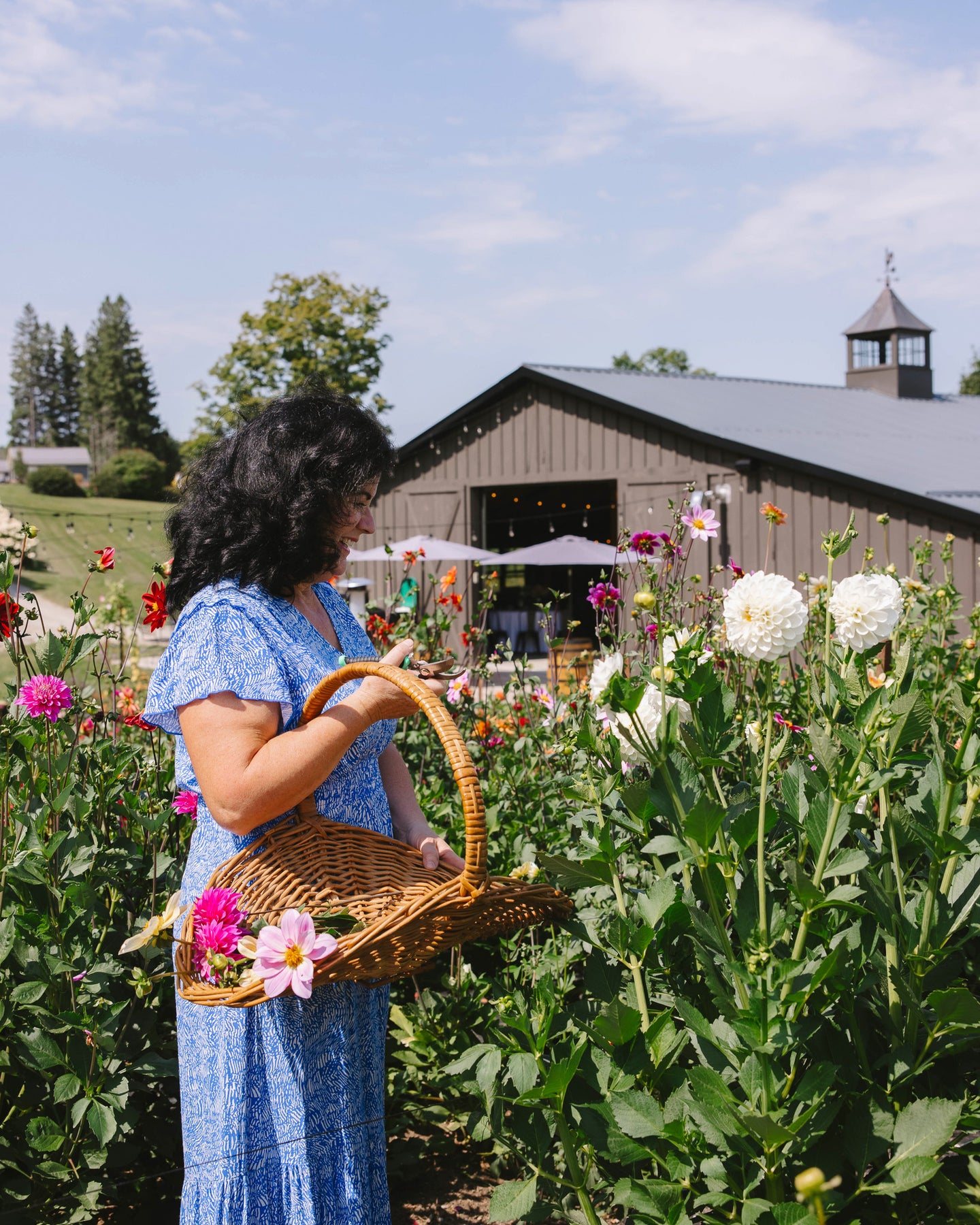 Valhaven Farm